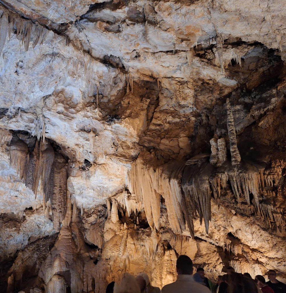 Lipa Cave in Montenegro - The Travel Daisy